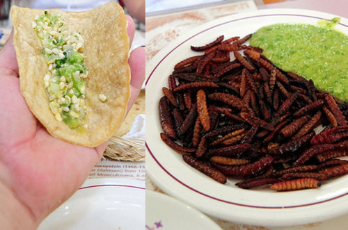 Platos con insectos para chuparse los dedos