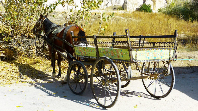 VIDEO: Un caballo transporta un carro con un auto sin ruedas encima y ...