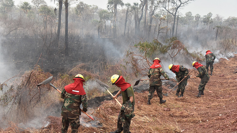 A 40 grados centígrados: la lucha de los bomberos contra los incendios ...