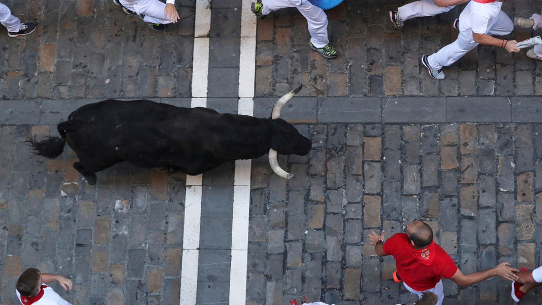 VIDEO: Un toro escapa de un matadero en China y ataca a su dueño cuando ...