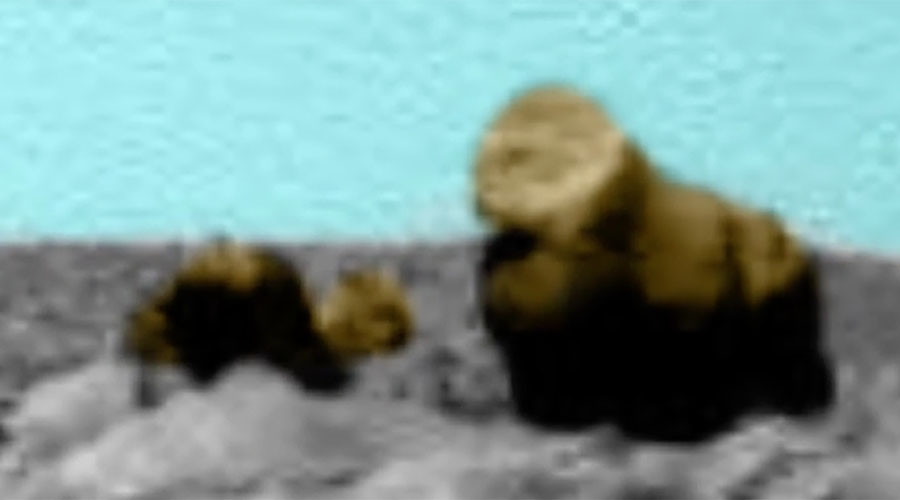 Mars: ‘Alien bear and cub’ identified in latest red planet 'discovery ...