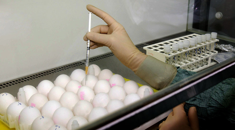 Scientists create human-sheep chimera with hopes of affordable organ ...