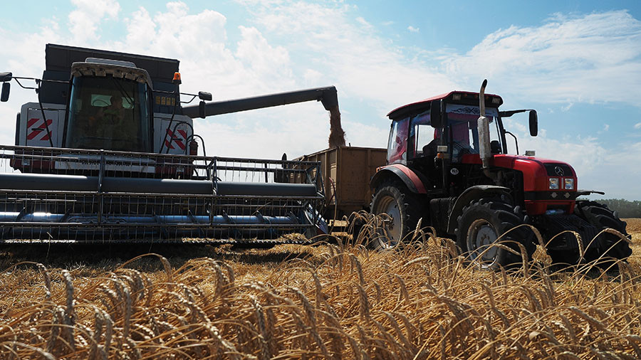 Agriculture makes much more money for Russia than arms exports – Putin ...