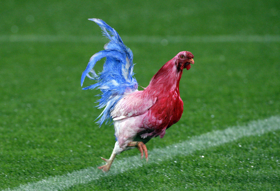 Putin receives miniature Gallic rooster from Macron-led delegation at ...