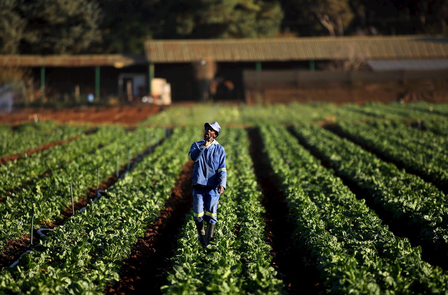 South Africa’s Zulu nation joins white farmers in fight against ...