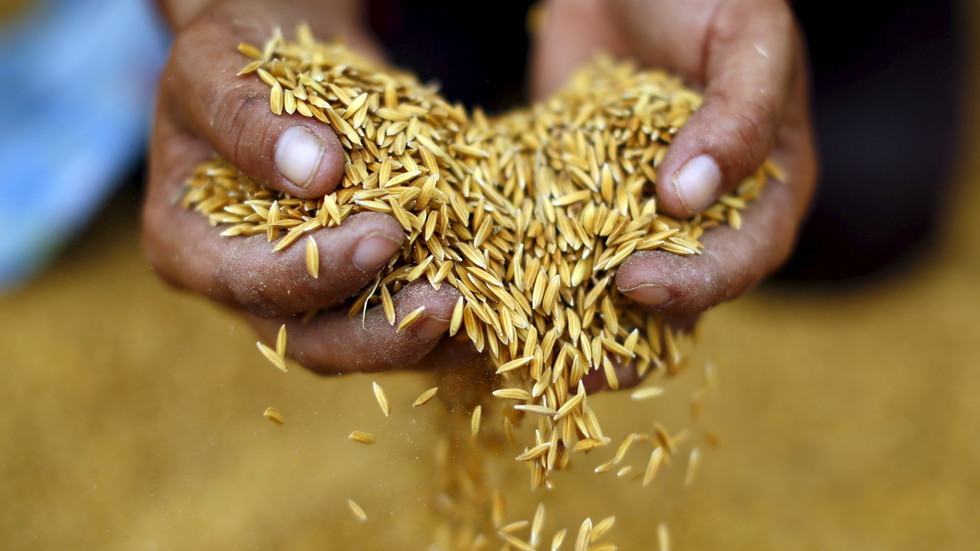 China allows first-ever imports of US rice ahead of trade talks — RT ...