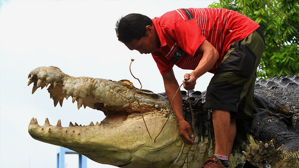 Colossal 17ft, 1,300lb crocodile eats handler alive after leaping from ...