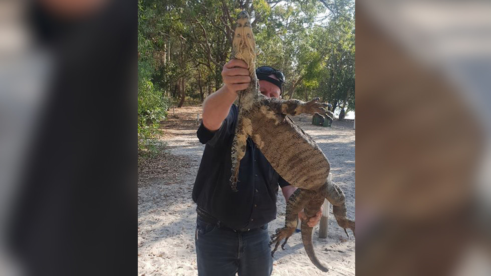 Snake wrangler tackles giant lizard who savaged girl in ‘nasty’ attack ...