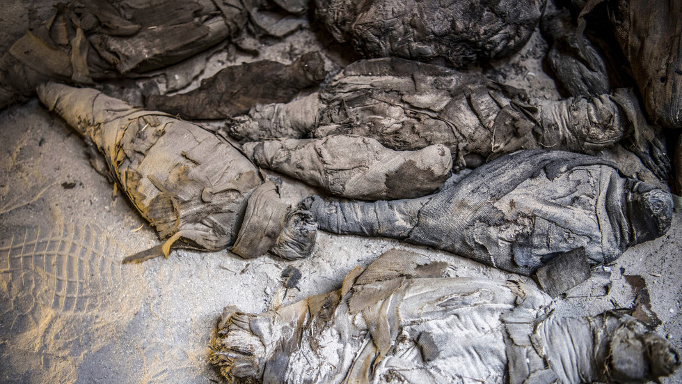 Huge haul of mummified animals uncovered at 2,000yo Egyptian tomb ...