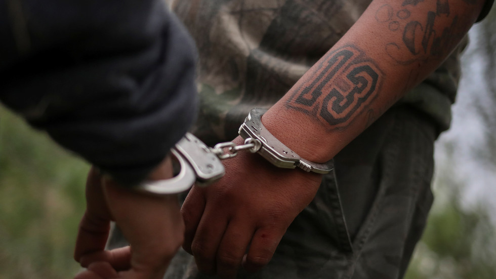 14 leaders of MS-13 gang indicted on terrorism charges in US, including ...