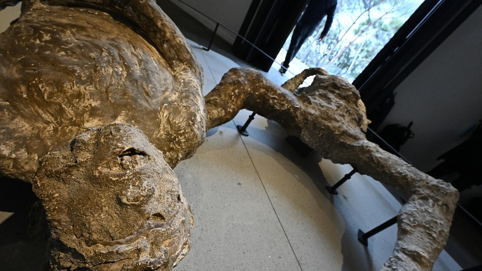 People of Pompeii were killed in 15 MINUTES by avalanche of ash and gas ...