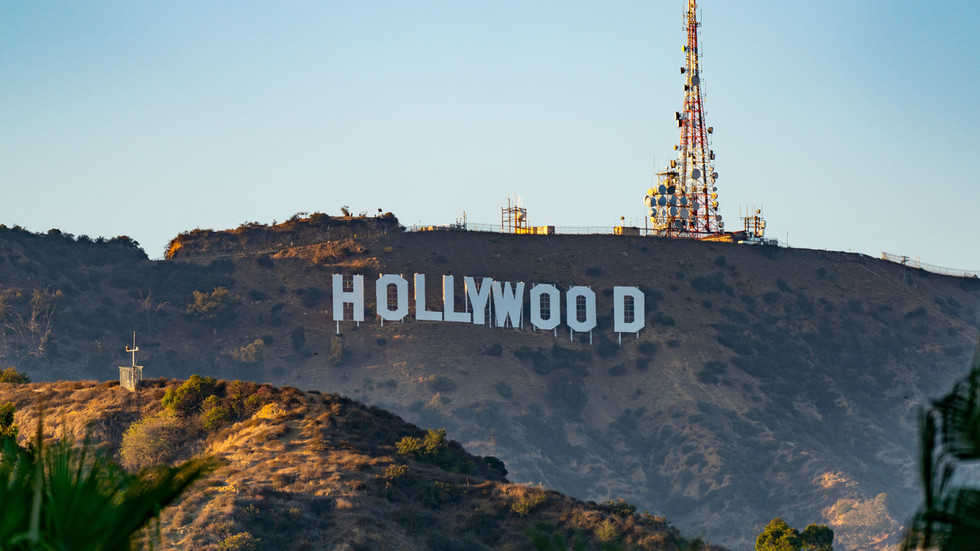 Actor sentenced to 20 years over massive Hollywood Ponzi scheme — RT ...
