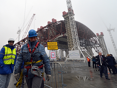 Brown bears, other wildlife back in radiation-exposed Chernobyl zone ...