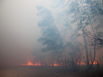 $20 mln cigarette starts forest fire — RT World News