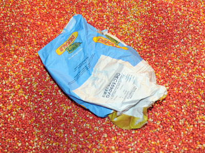 Revealed: Monsanto GM corn caused tumors in rats — RT World News