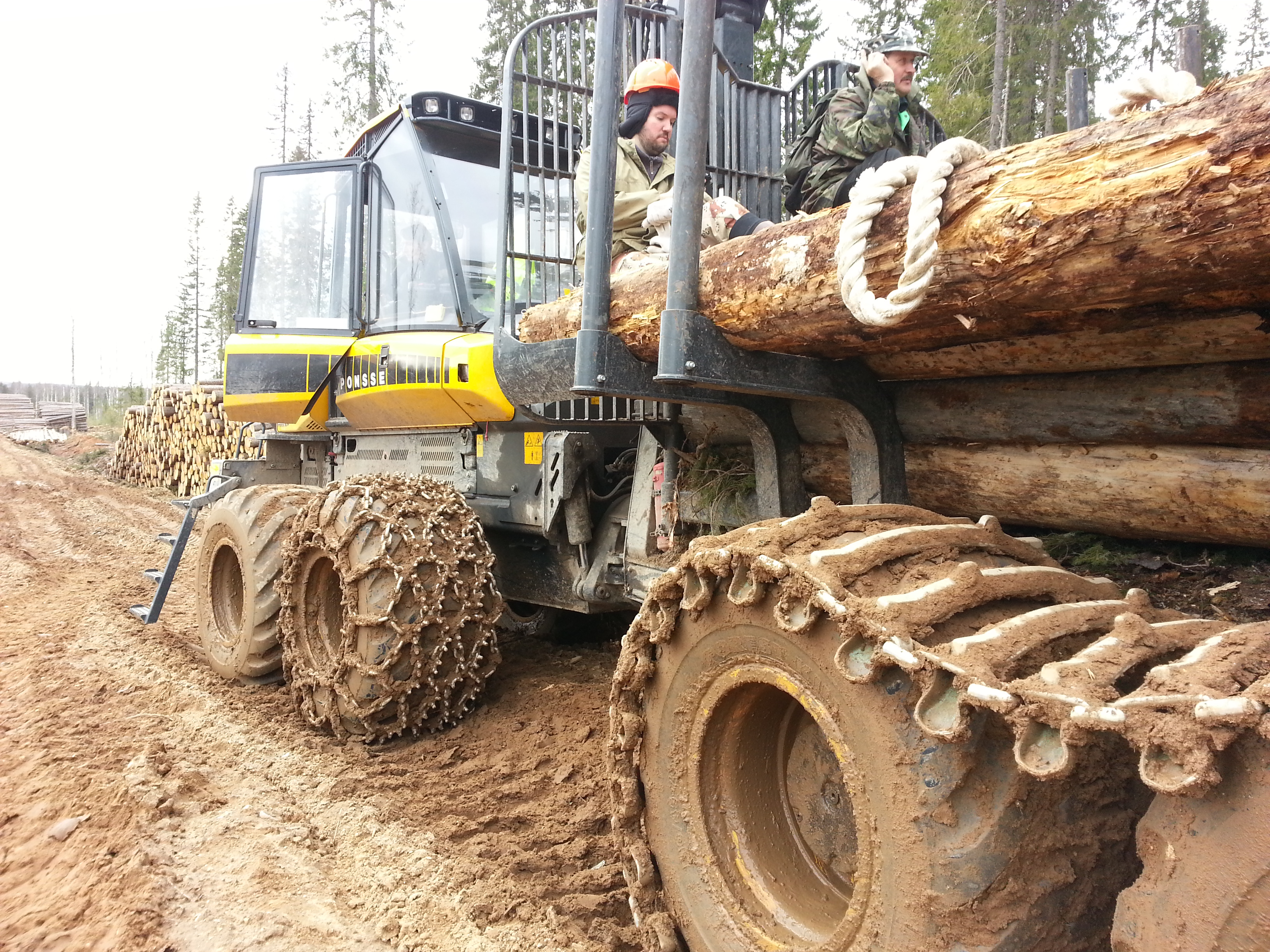 The tough work of Russian lumberjacks in the woods of Archangelsk ...